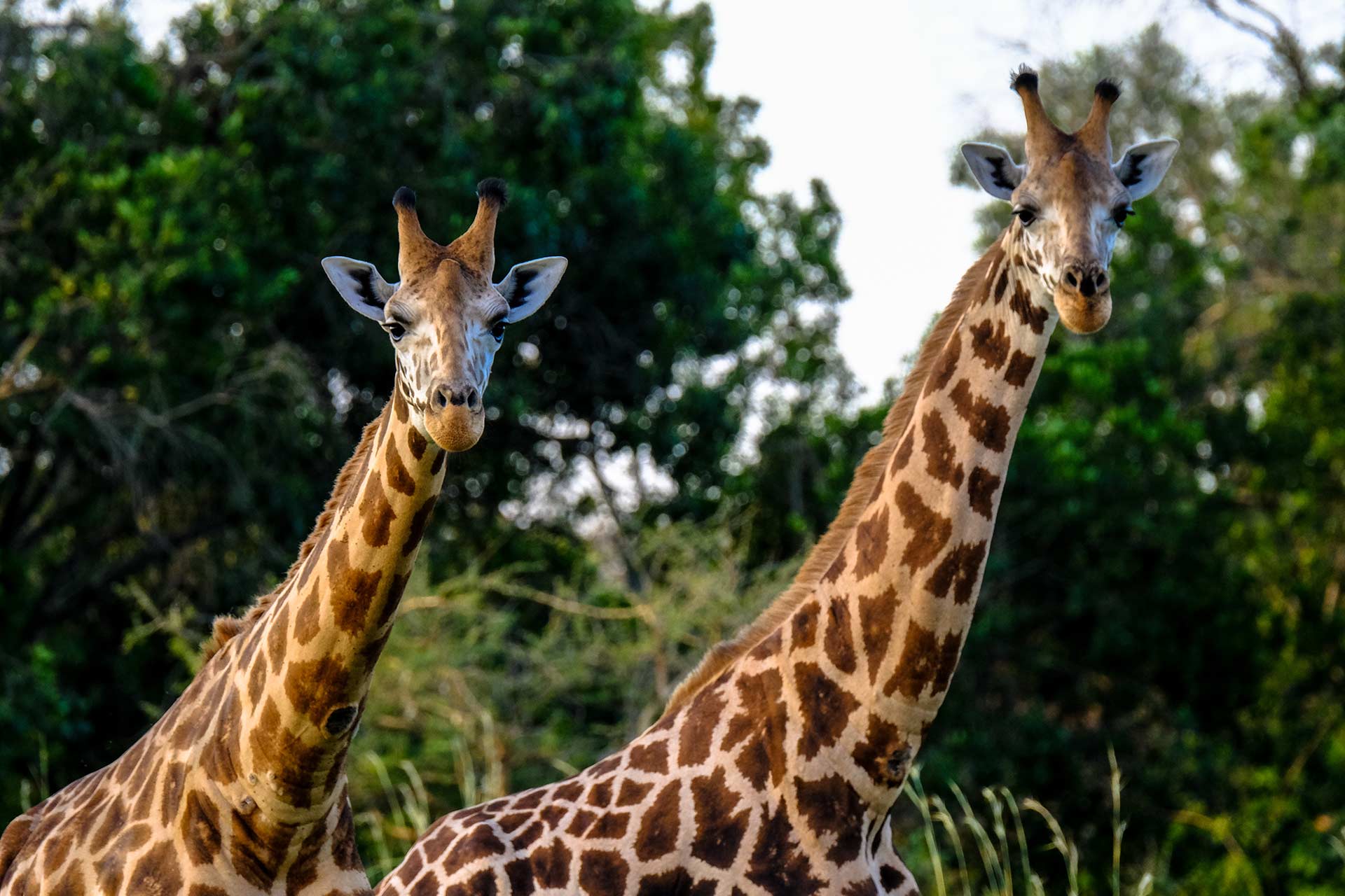 Who We Are - Wintershoek Safaris Hunting Experts