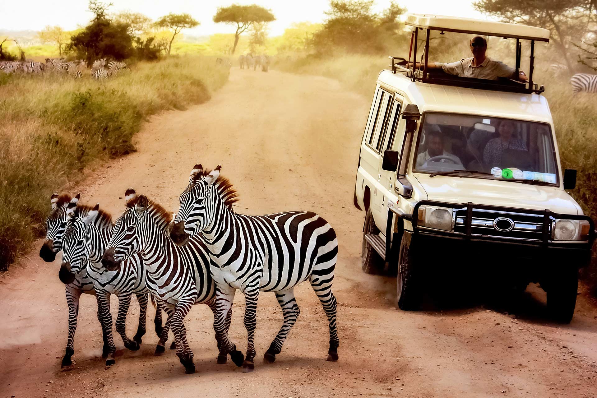 Botswana - Wintershoek Safaris Destinations