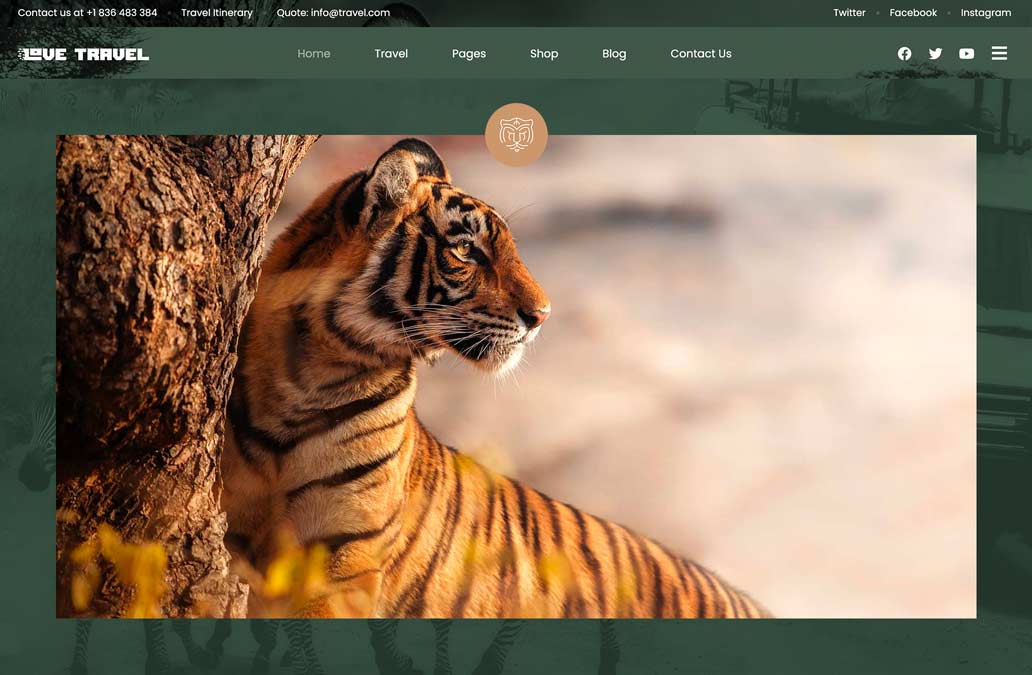 Welcome to Wintershoek Safaris - Hunting Experts In Africa