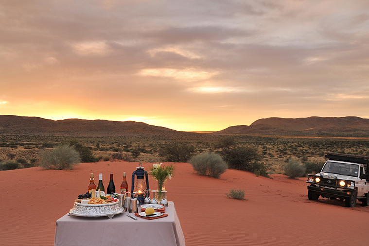 Fearless Hunting with Wintershoek Safaris Hunting Experts