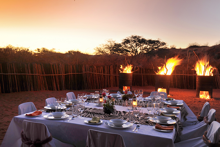 Fearless Hunting with Wintershoek Safaris Hunting Experts