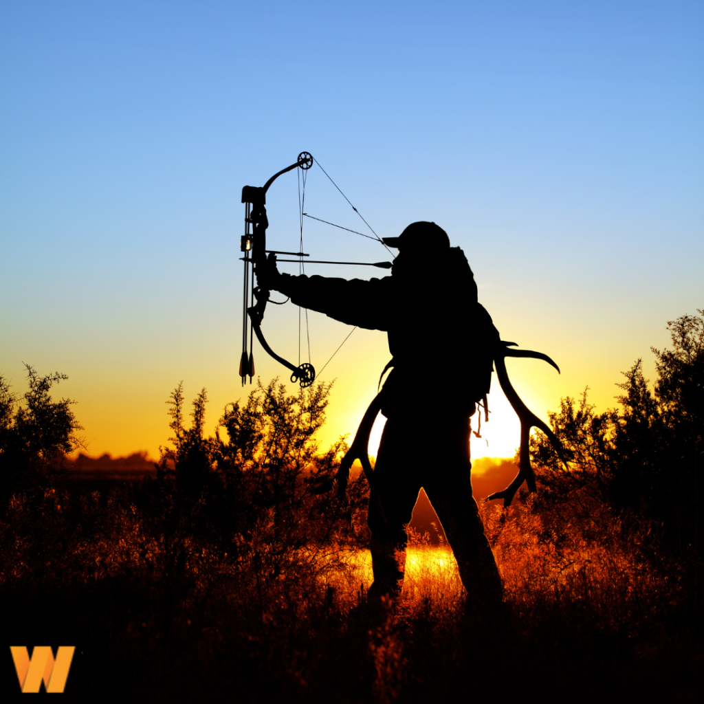 Hunt Common Duiker with Wintershoek Safaris