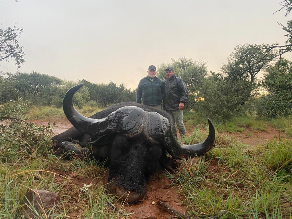 Brave Cape Buffalo - Wintershoek Safaris Hunting Experts