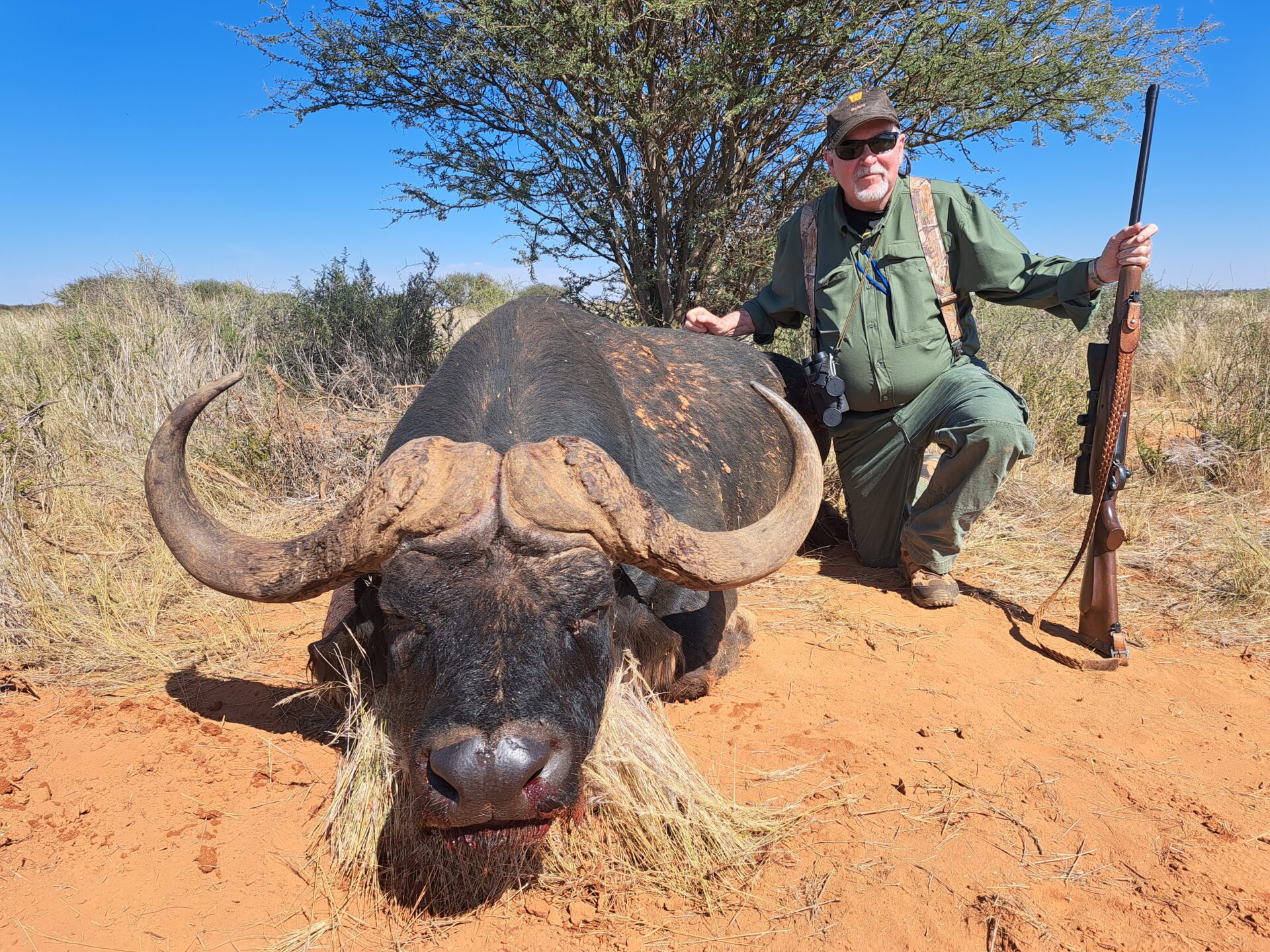 Brave Cape Buffalo - Wintershoek Safaris Hunting Experts