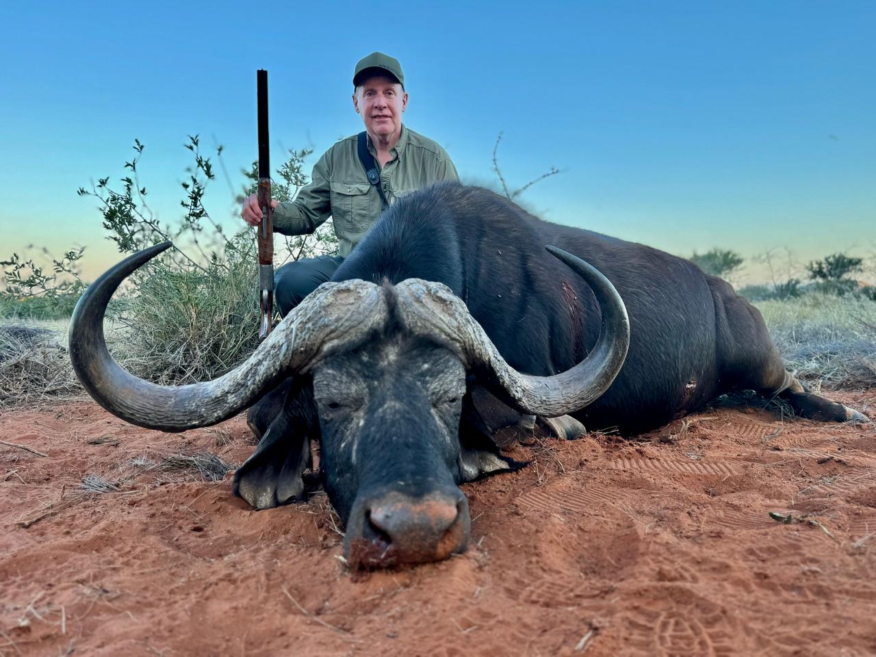 Brave Cape Buffalo - Wintershoek Safaris Hunting Experts
