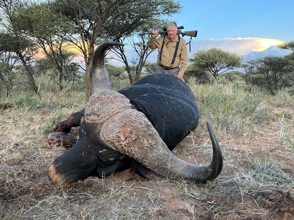 Brave Cape Buffalo - Wintershoek Safaris Hunting Experts