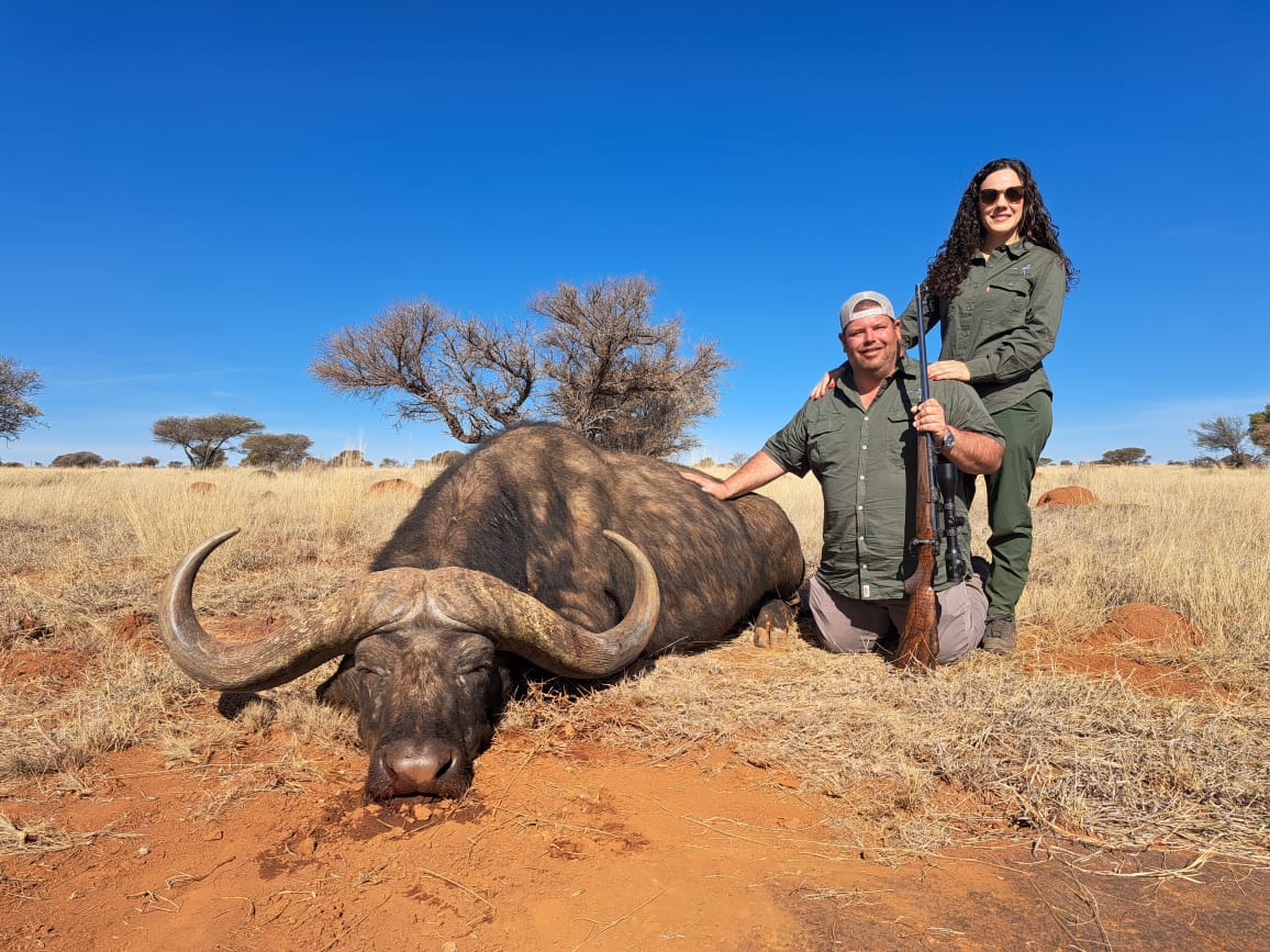 Brave Cape Buffalo - Wintershoek Safaris Hunting Experts