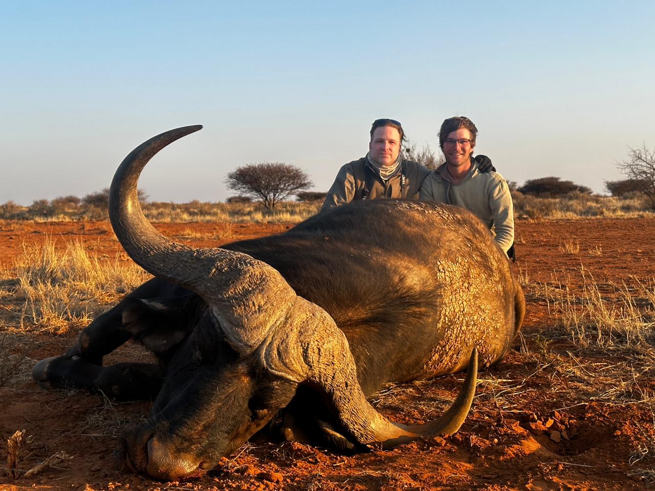 Brave Cape Buffalo - Wintershoek Safaris Hunting Experts